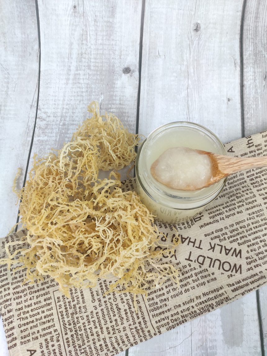 Sea Moss for thyroid function: Benefits and Drawbacks
